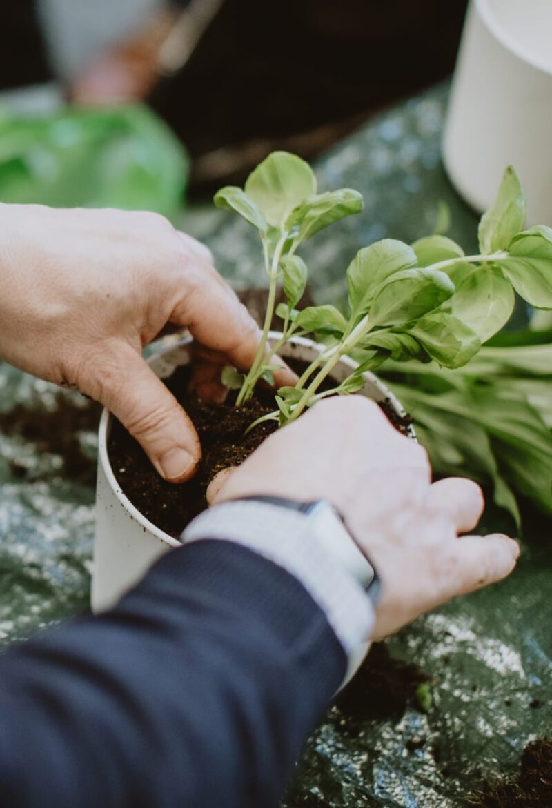 About - Leonard Design